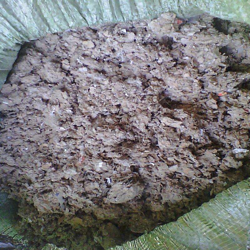 Paper Making Sludge | Crown Machinery